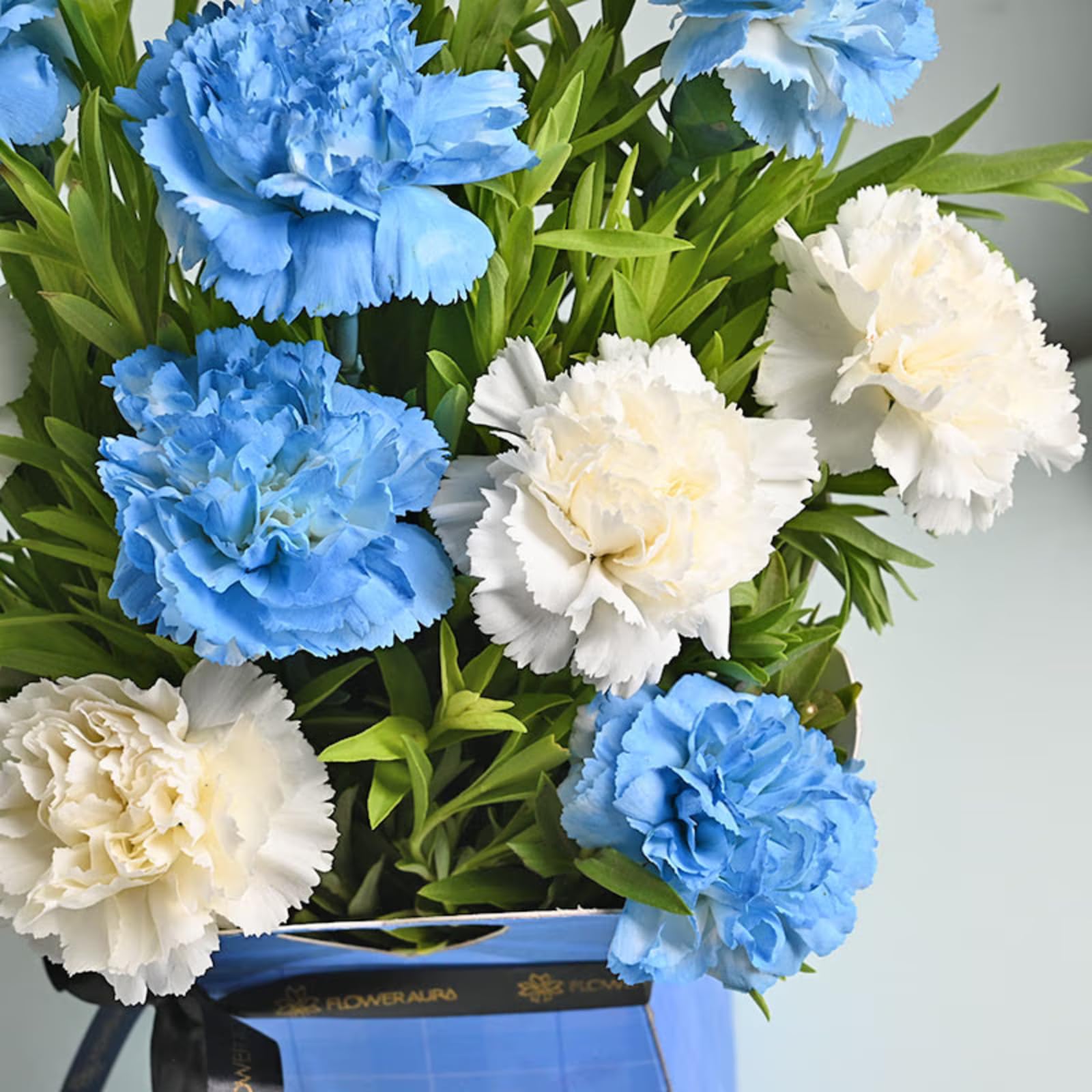White And Blue Carnation Bouquet White Carnations: Emblem Of Pure