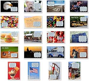 Amazon.com : AMERICANA FUN FACTS postcard set of 20 postcards. Iconic ...