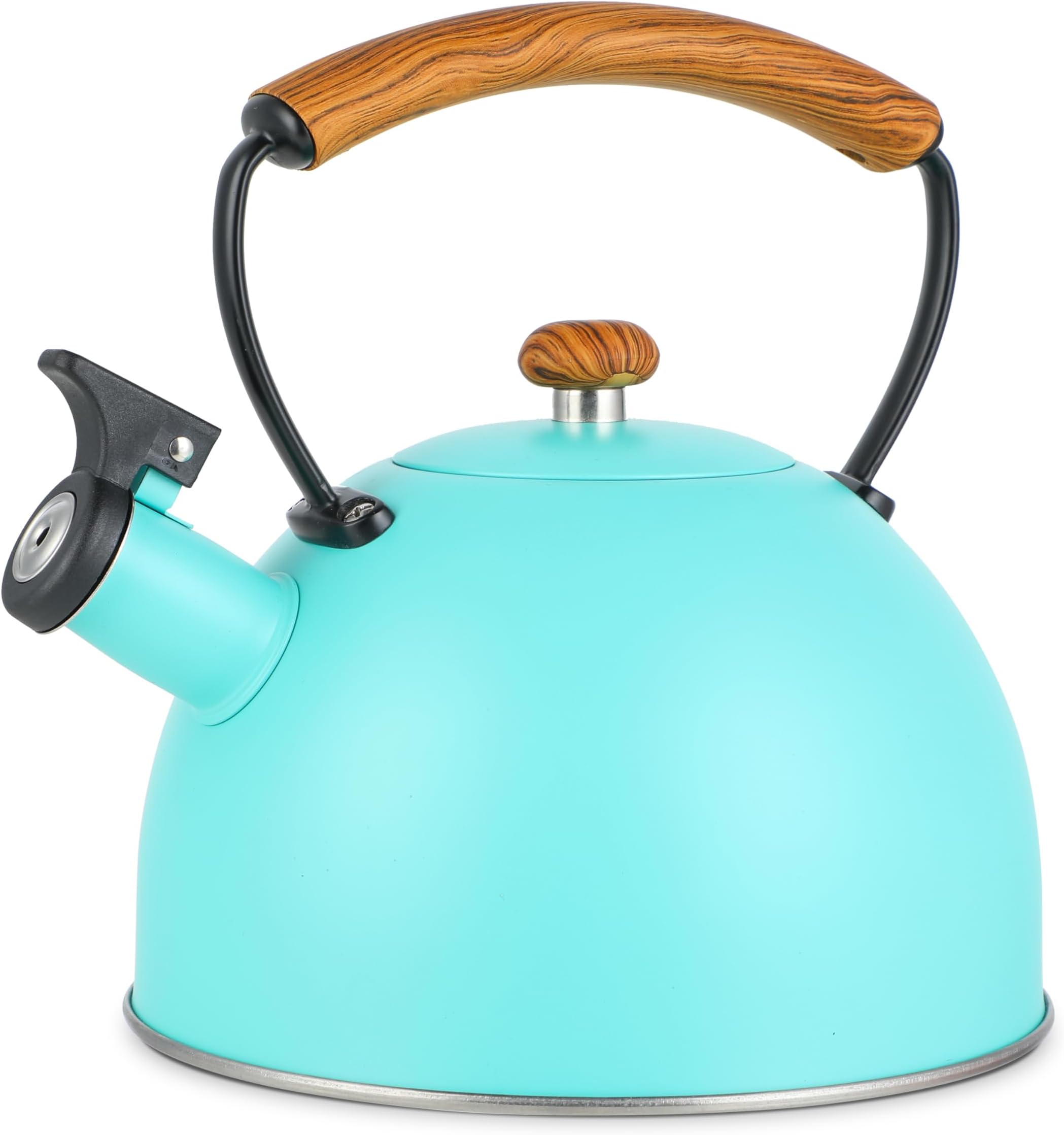 Amazon.com: ROCKURWOK Tea Kettle, Tea Pot with Cool Touch Ergonomic ...