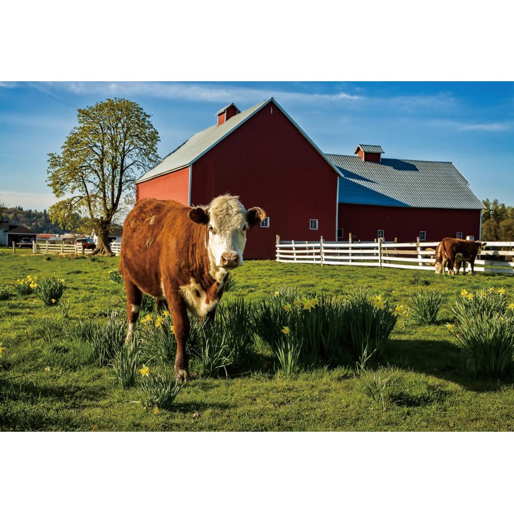 Western Ranch Backdrop