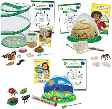 Amazon.com: Insect Lore Bug Camp Bundle | Butterfly Kit with 1 Cup Live ...