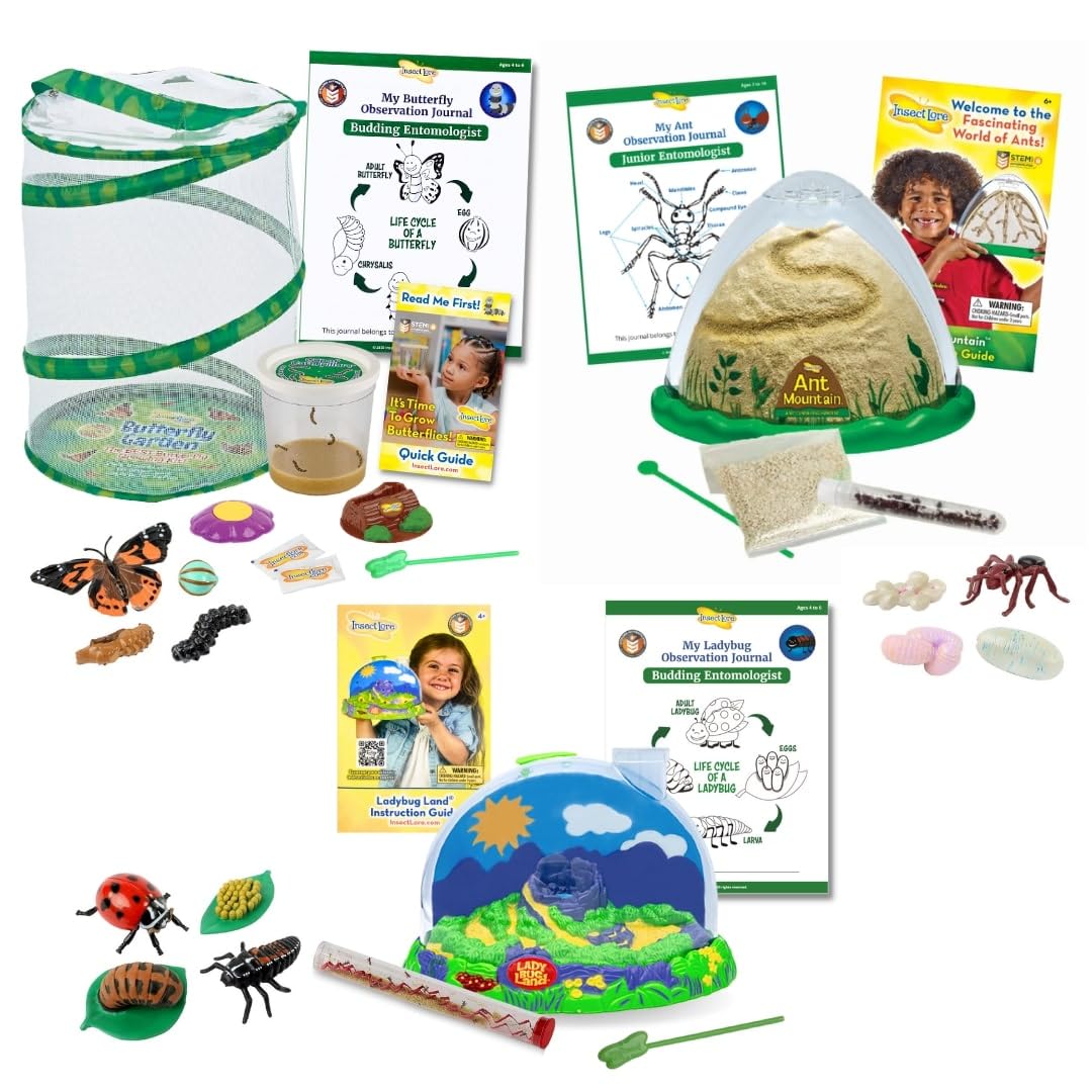 National Geographic Kit Insect Lore Bug Camp Bundle - Butterfly, Ladybug & Ant Life Cycle Kits ...