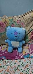 Buy HUG 'n' FEEL SOFT TOYS koya Soft Toy BT21 BTS Bangtan Boys Sitting ...