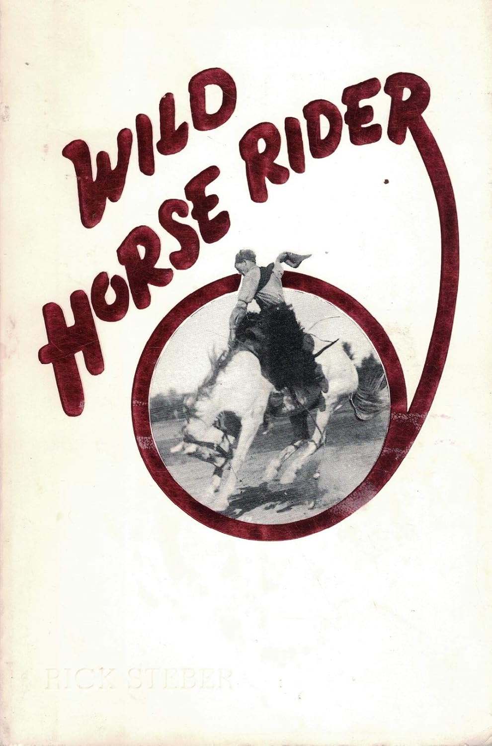 Wild Horse Rider: Steber, Rick: 9780892881048: Amazon.com: Books
