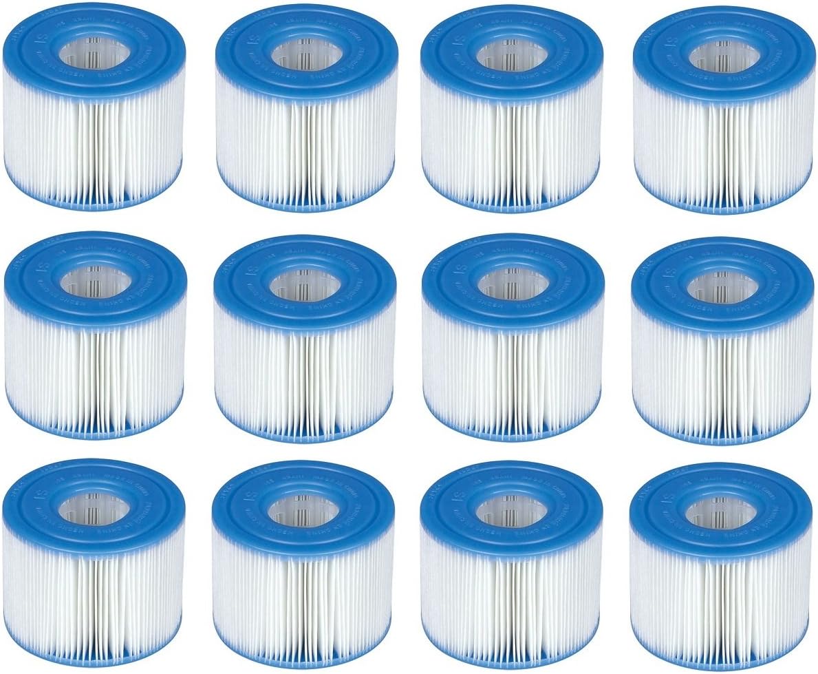 Amazon.com : Intex Type S1 PureSpa 29001E Easy Set Pool Filter ...
