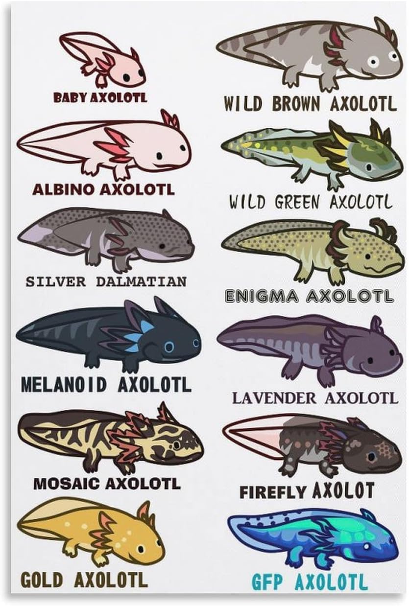 Amazon.com: DJMPZKVRY Poster for Kids Axolotl Poster Animal Poster ...
