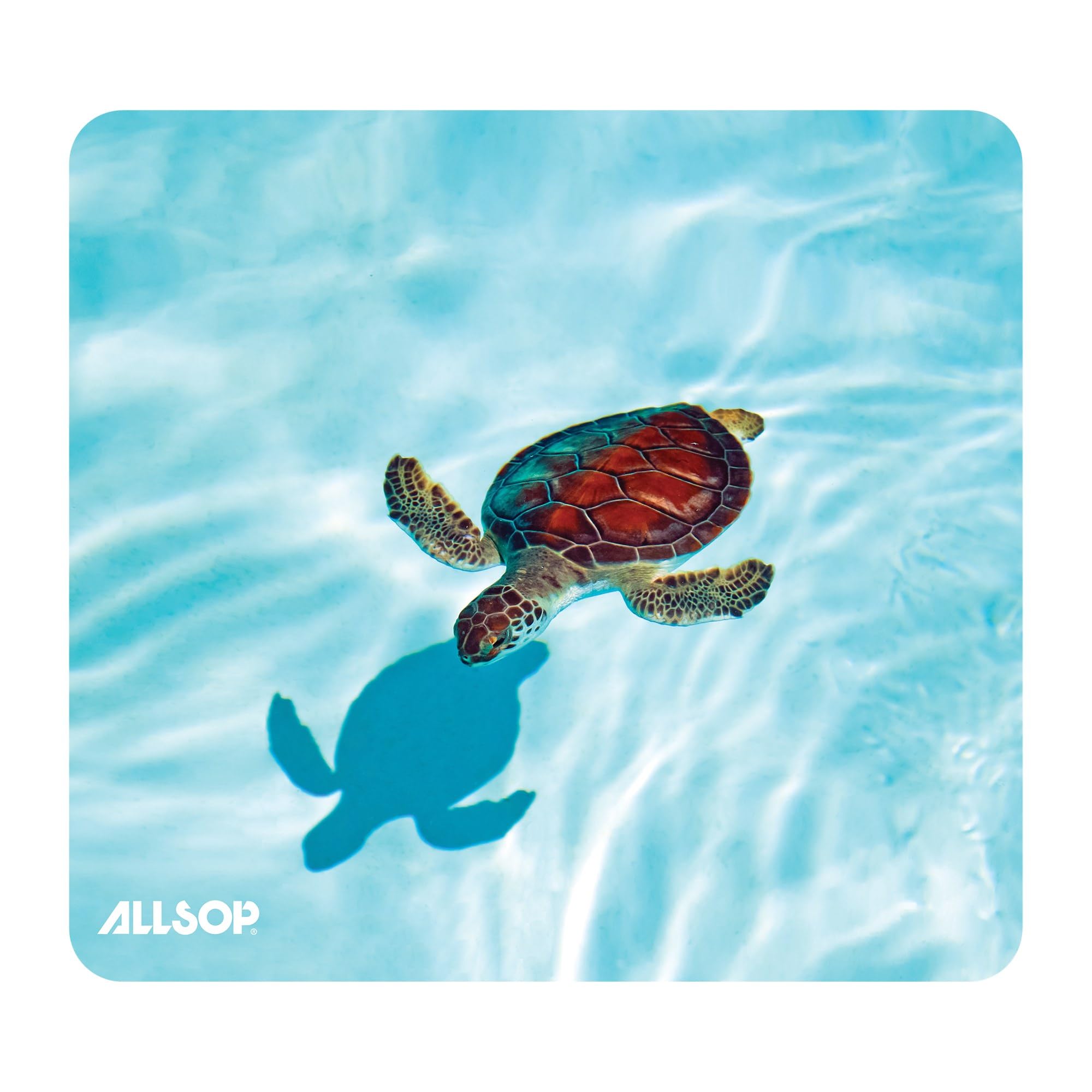 Amazon.com : Allsop Nature's Smart Mouse Pad 60% Recycled Content ...
