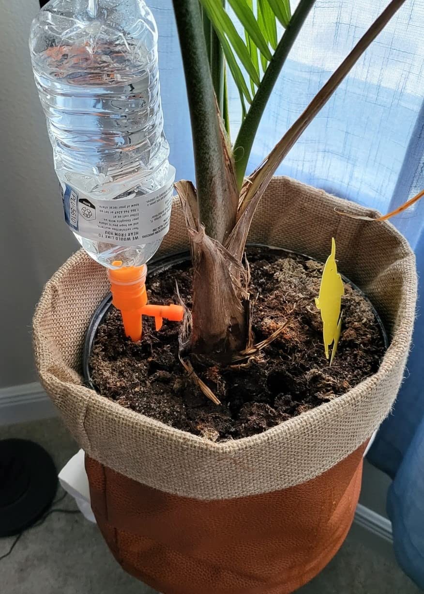 Amazon.com : JCNZM Plant Self Watering Spikes Devices, Upgrade Plant ...