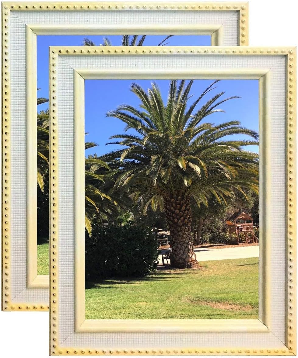 Amazon.com - Harmony Frames 12x16 Gold Beads Picture Frame Wall ...