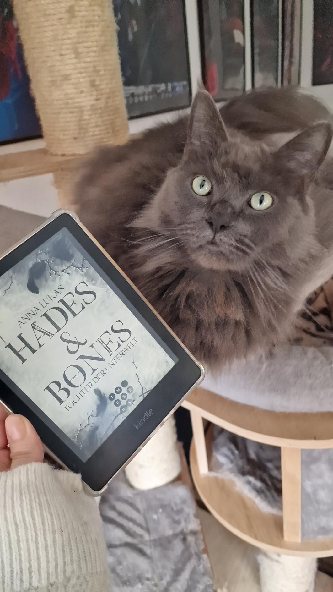 Hades & Bones: Tochter der Unterwelt: Enemies to Lovers Romance trifft auf griechische ...