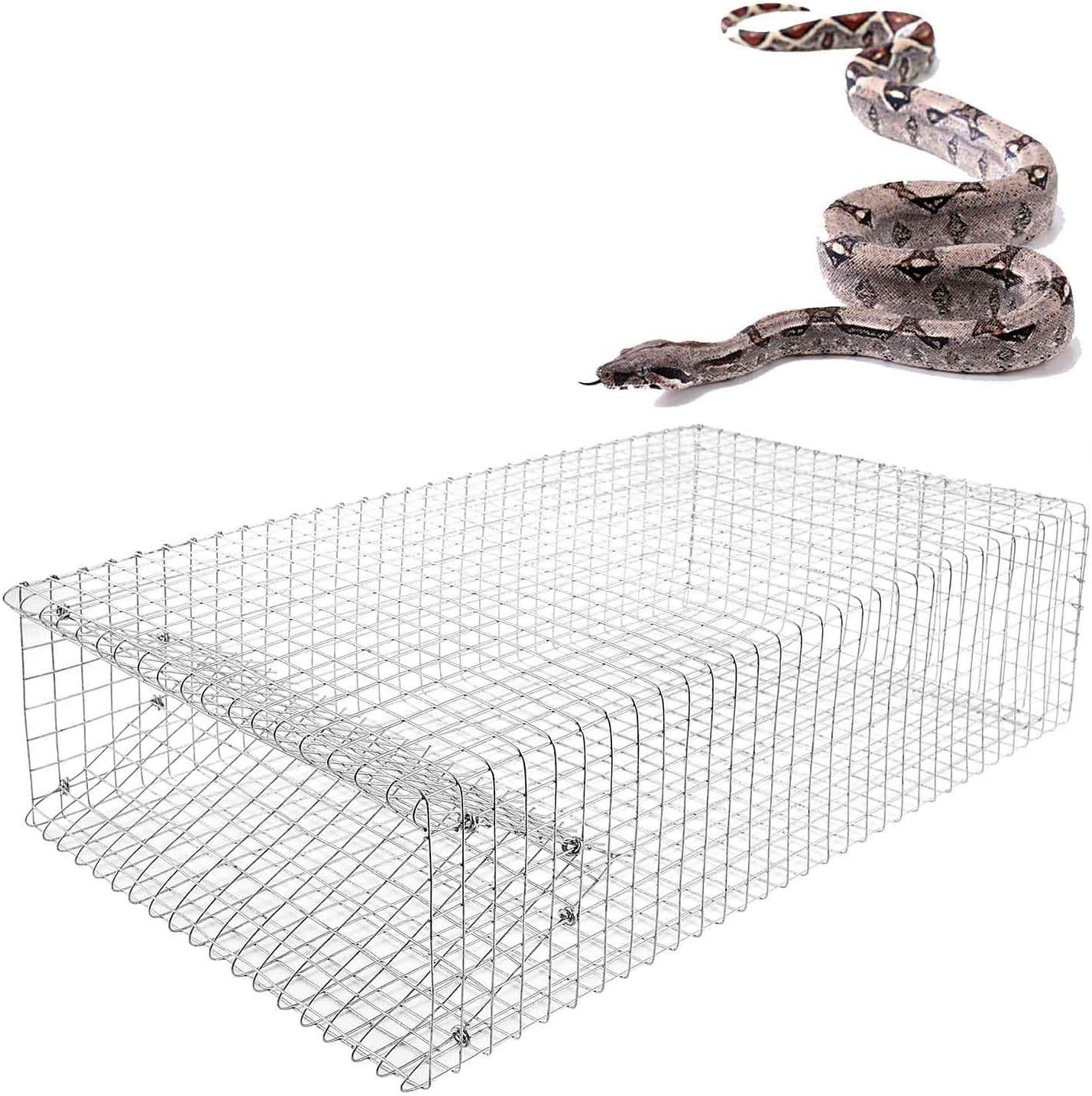 Amazon.com : AmazingTraps The Amazing Humane Snake Trap - Catches and ...