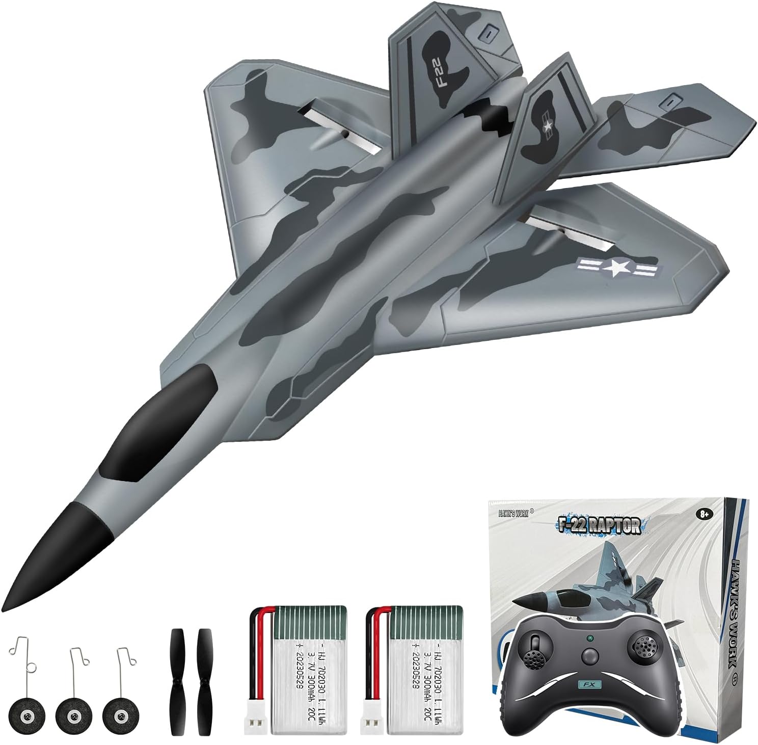 HAWK'S WORK 2 CH RC Airplane, F-22 Plane Ready to Fly, 2.4GHz Remote ...