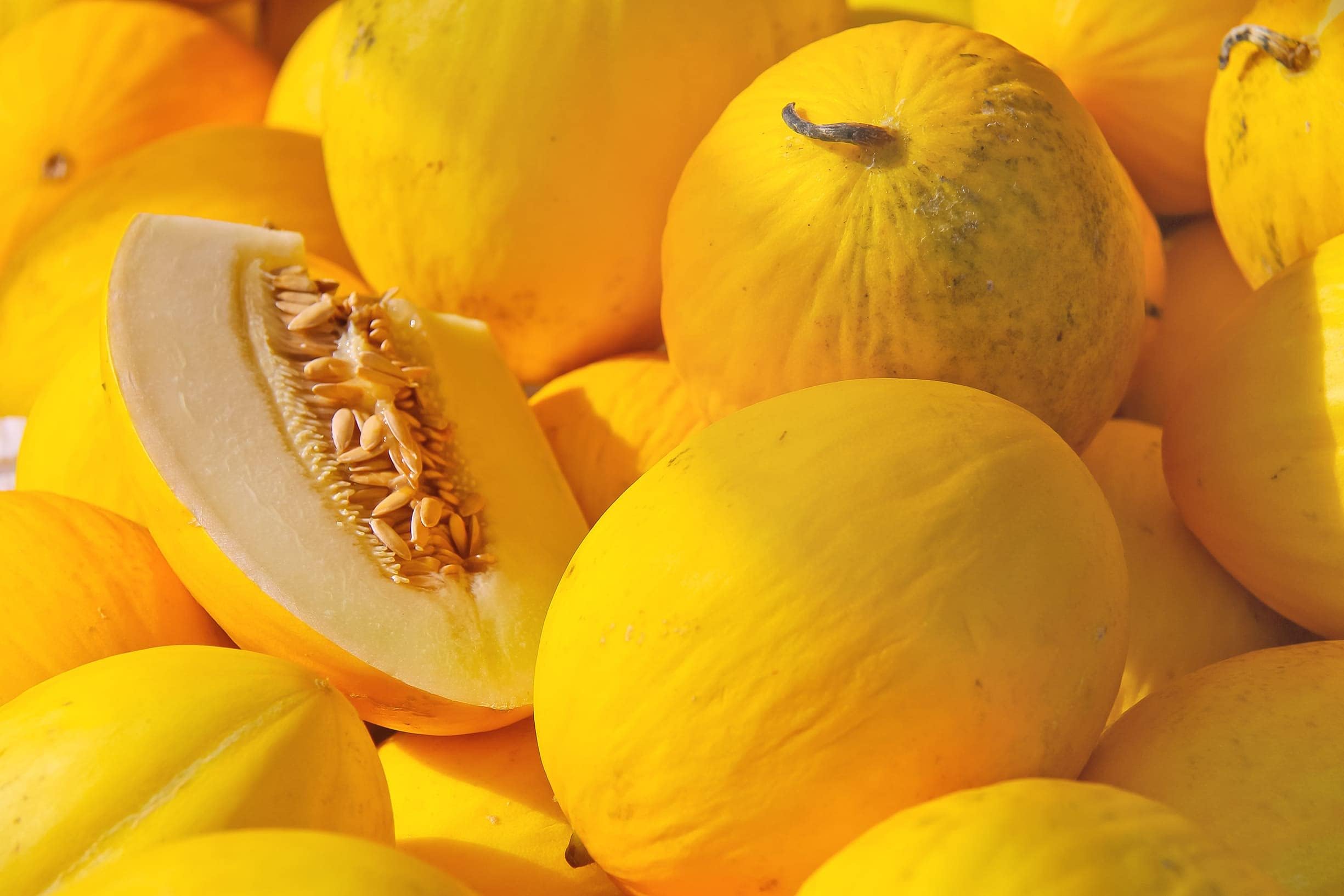 Vilmorin - Sachet graines Melon charentais : Amazon.fr: Jardin