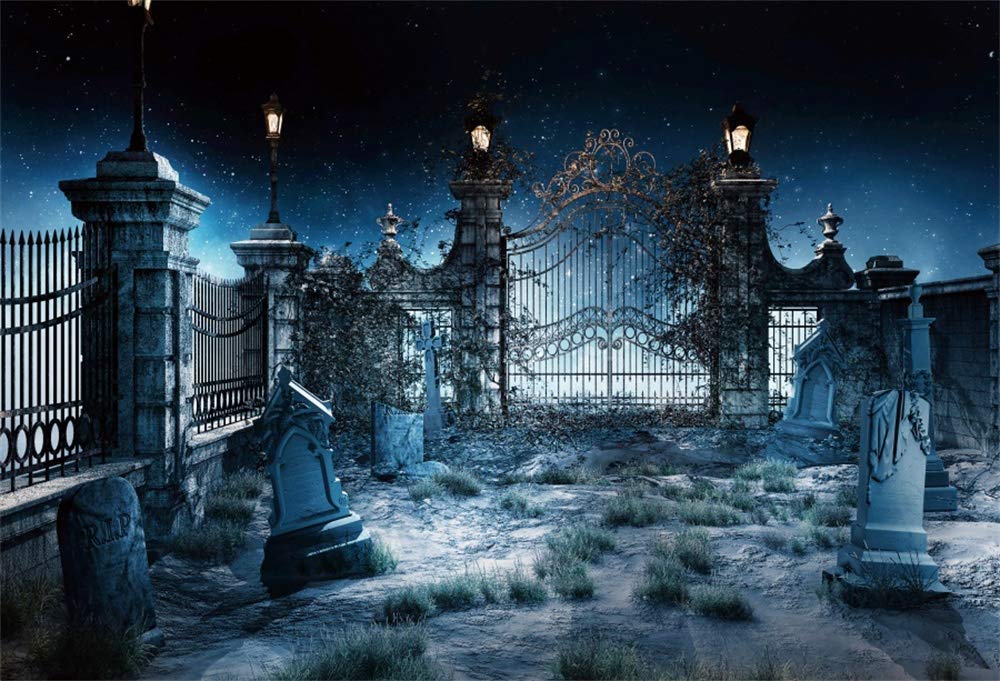 Cemetery Gate At Night