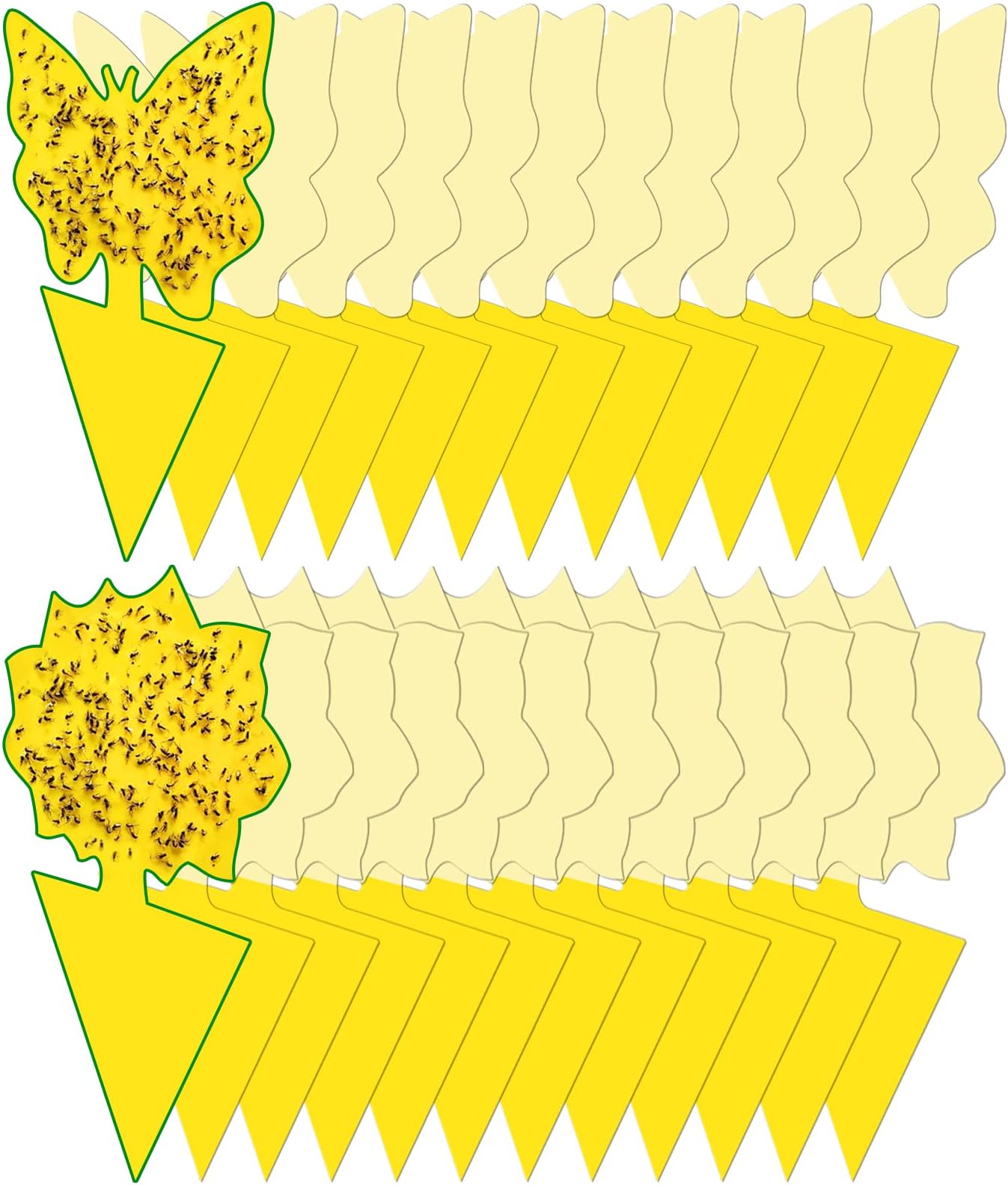 Amazon.com : 3 Pack Fruit Fly Traps for Indoors with 30PCS Fruit Fly ...