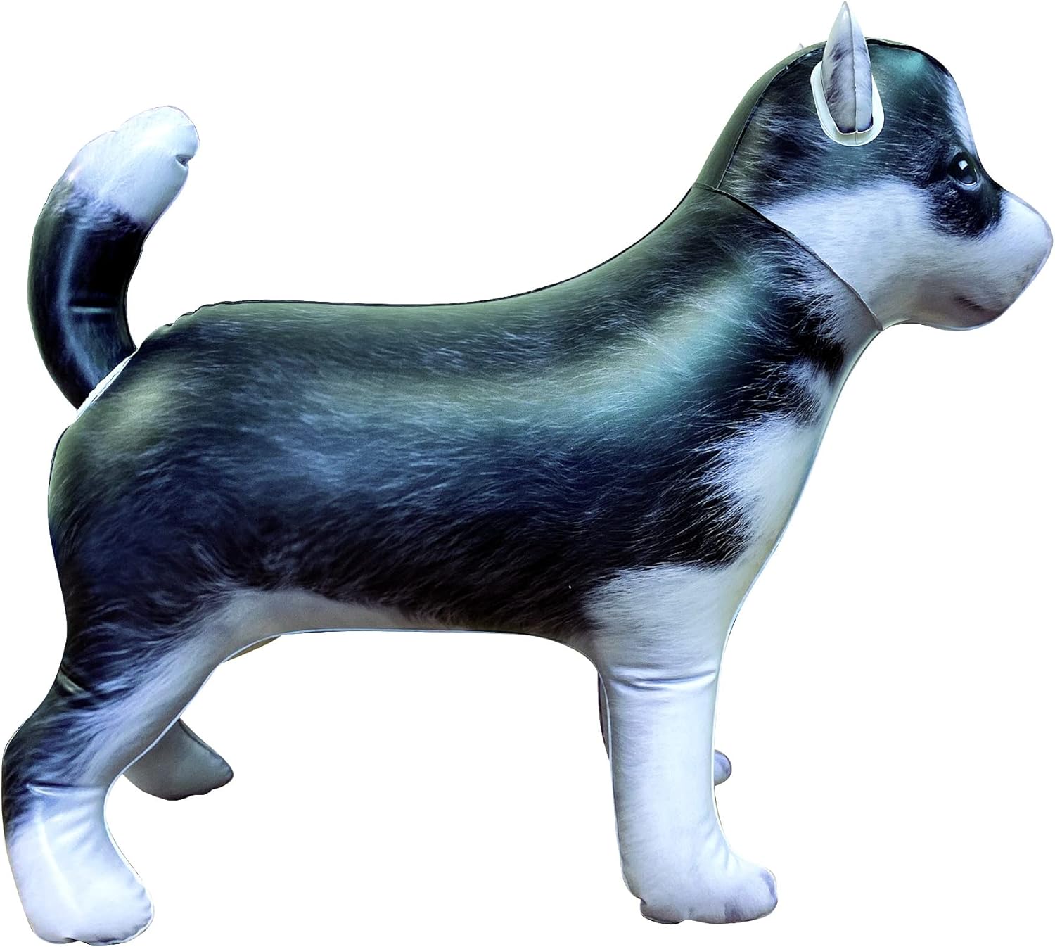 Amazon.com: AirCandy Inflatable Dog - Husky Puppy - The Perfect pet. No ...