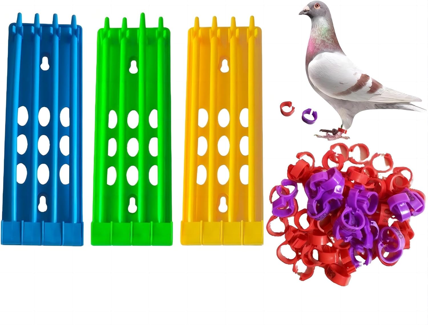 Amazon.com : Generic 200pcs Bird Leg Bands Rings with 3 Pigeon Leg Ring ...