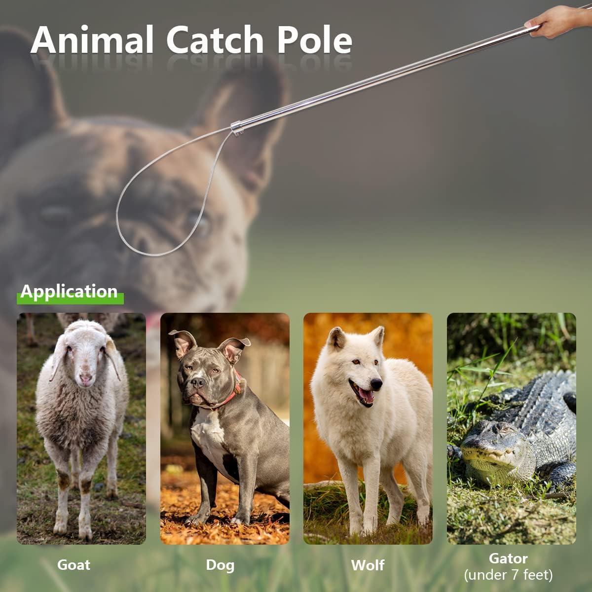 Wamlet Animal Catcher Pole Control Tool Kit for Bulldog Alligator Hog ...