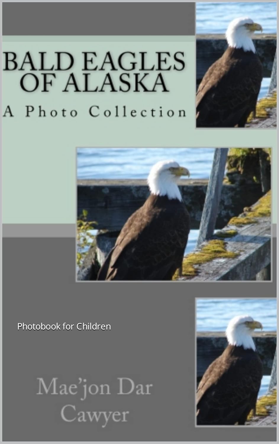 Bald Eagles of Alaska: Photobook for Children (Whispers of the White ...