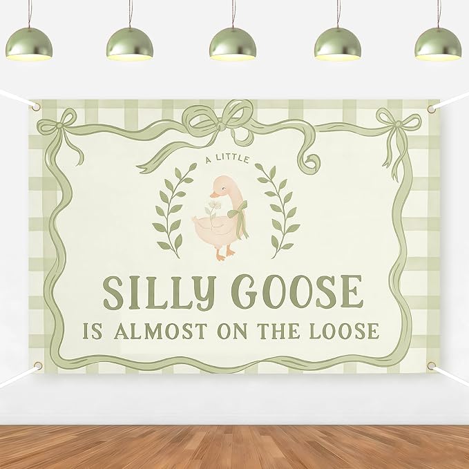 Amazon.com : Silly Goose Baby Shower Backdrop Decorations A Little ...