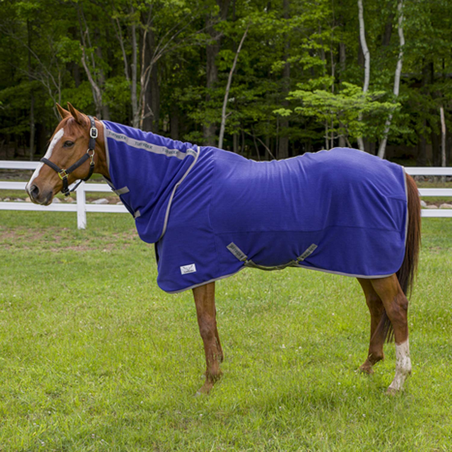 Snapklik.com : Cooler Sheet Combo 78 Wisteria Purple