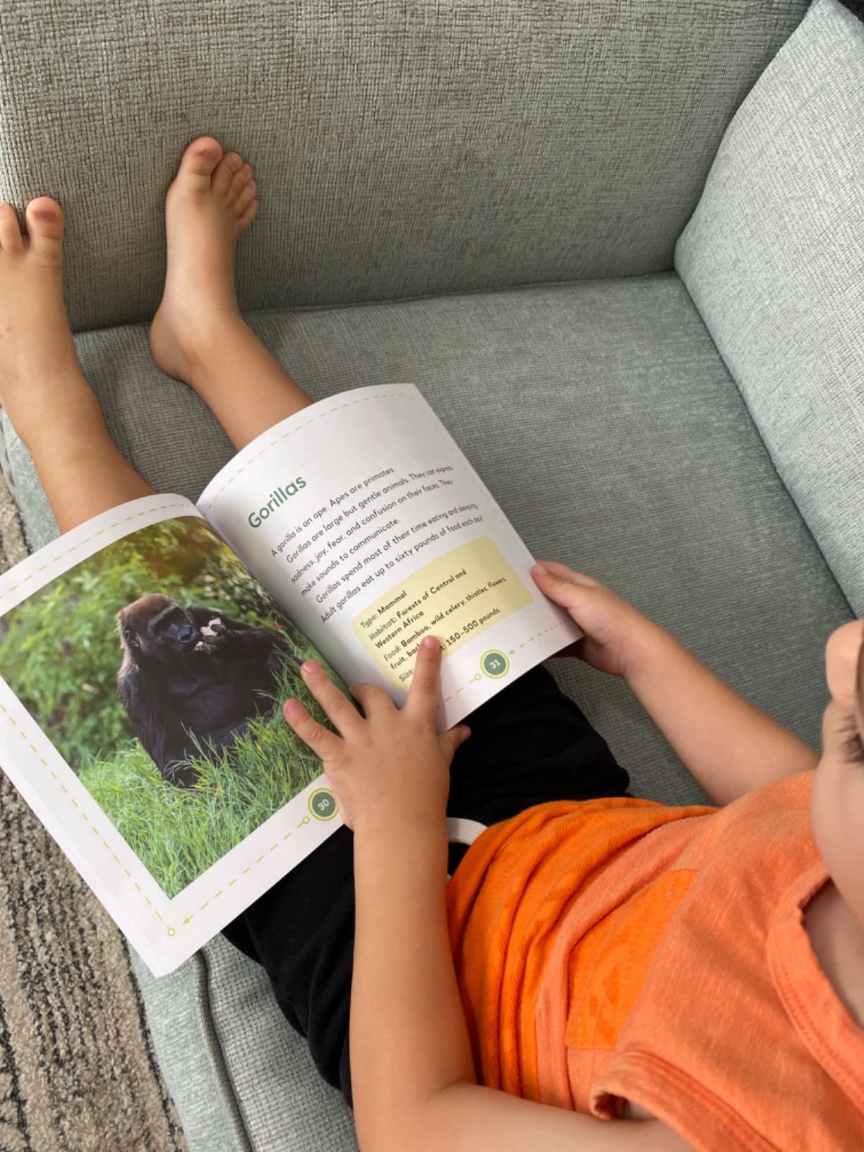 Amazon.com: My First Book of Animals: All About the World's Wildlife ...