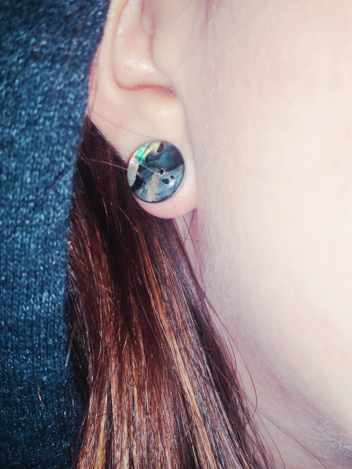 Amazon.com: Pair (2) Wild Abalone Shell Inlay Ear Plugs Stainless Steel ...