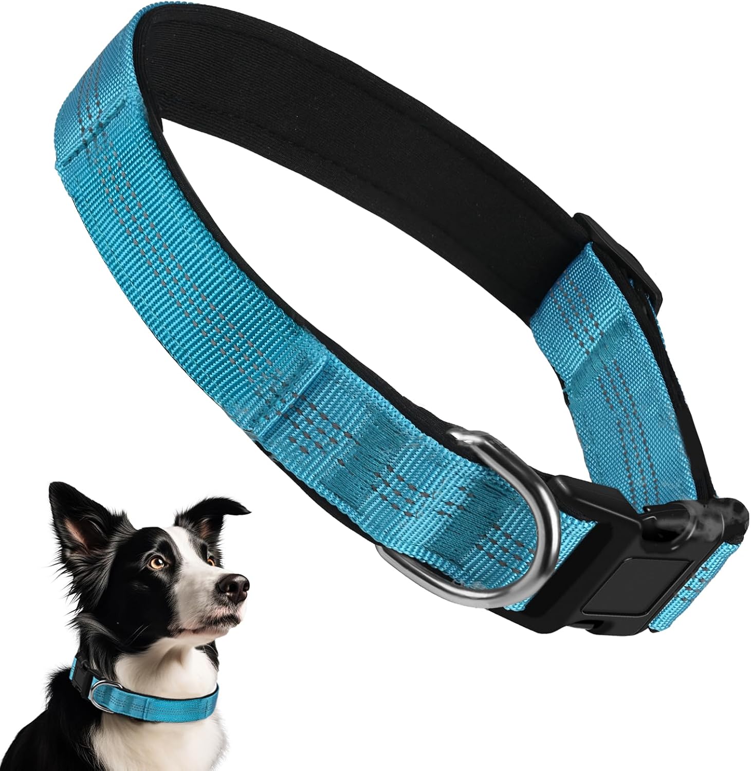 Amazon.com : Reflective Dog Collar with Safety Locking Buckle ...