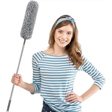 Amazon.com: Webster Cobweb Duster, Feather Duster for Home, Extendable ...