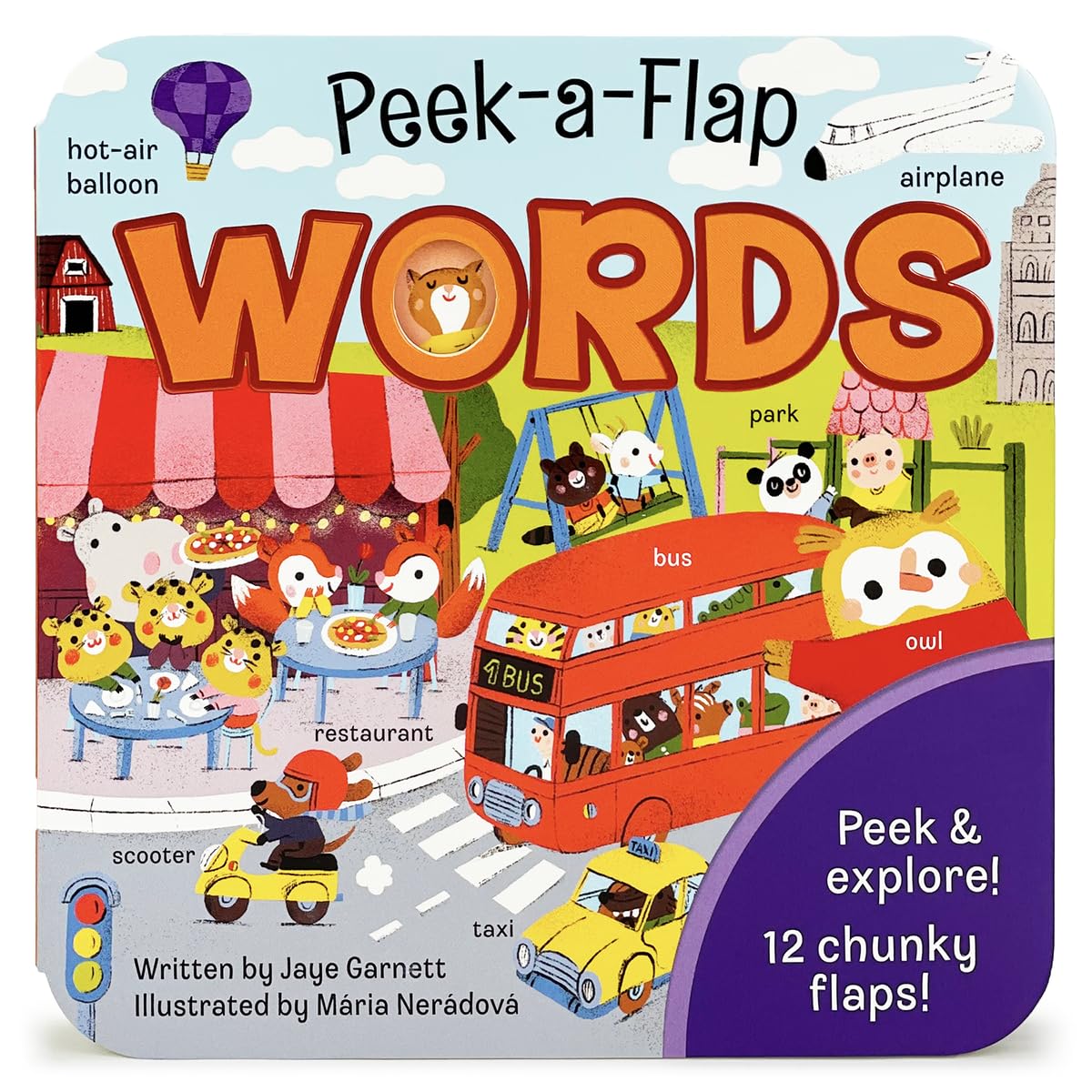 Amazon.com: Peek-a-Flap Words Lift-a-Flap Board Book for Curious Minds ...