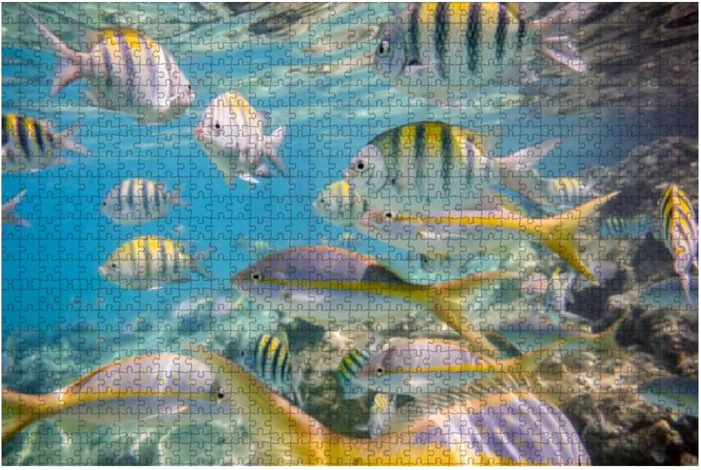Amazon.com: Puzzles for Adults 1000 Pieces Caribbean Sea Underwater ...