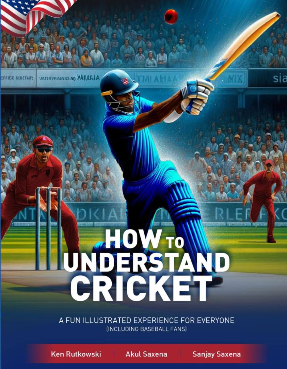 How To Understand Cricket: An Illustrated Experience: Amazon.co.uk ...