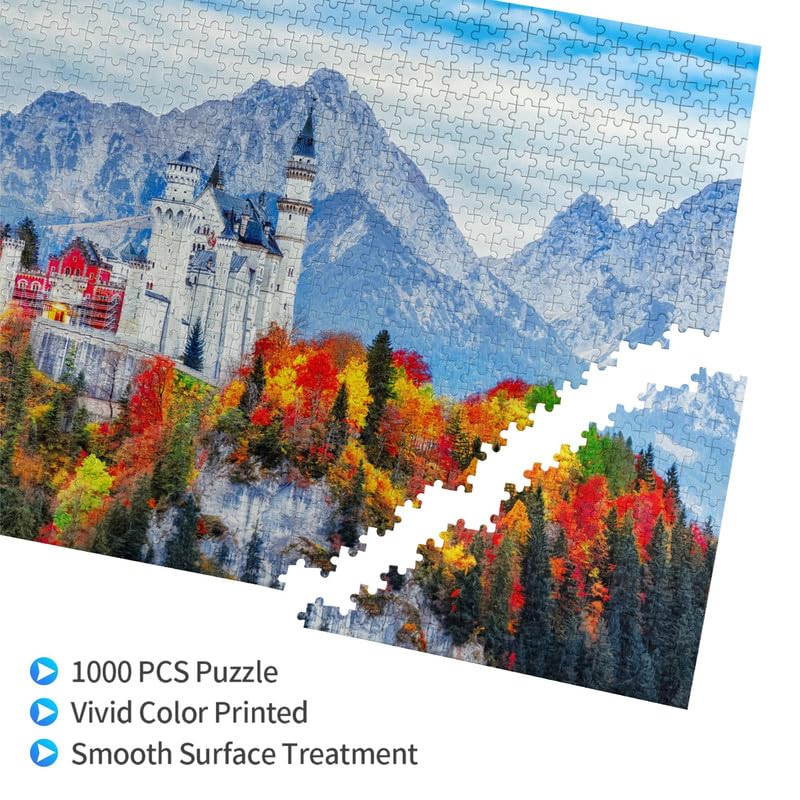 Castorland Puzzle 1000 Piece Puzzle - Germany Castle In Bavarian Alps ...