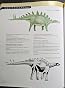 The Princeton Field Guide to Dinosaurs: Second Edition (Princeton Field ...