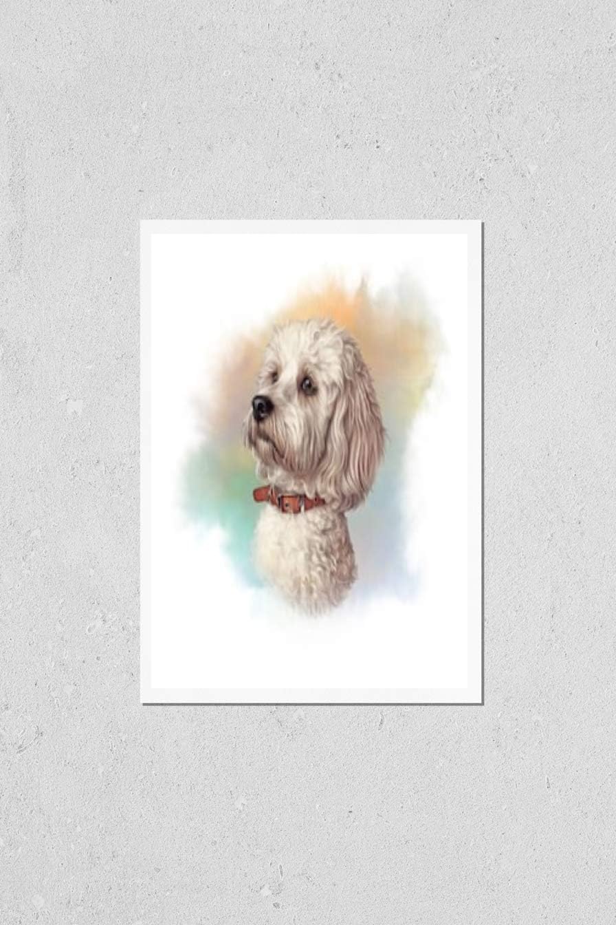 Amazon.com: Wall Art Poster Print of Portrait of Maltese Dog. Toy or ...