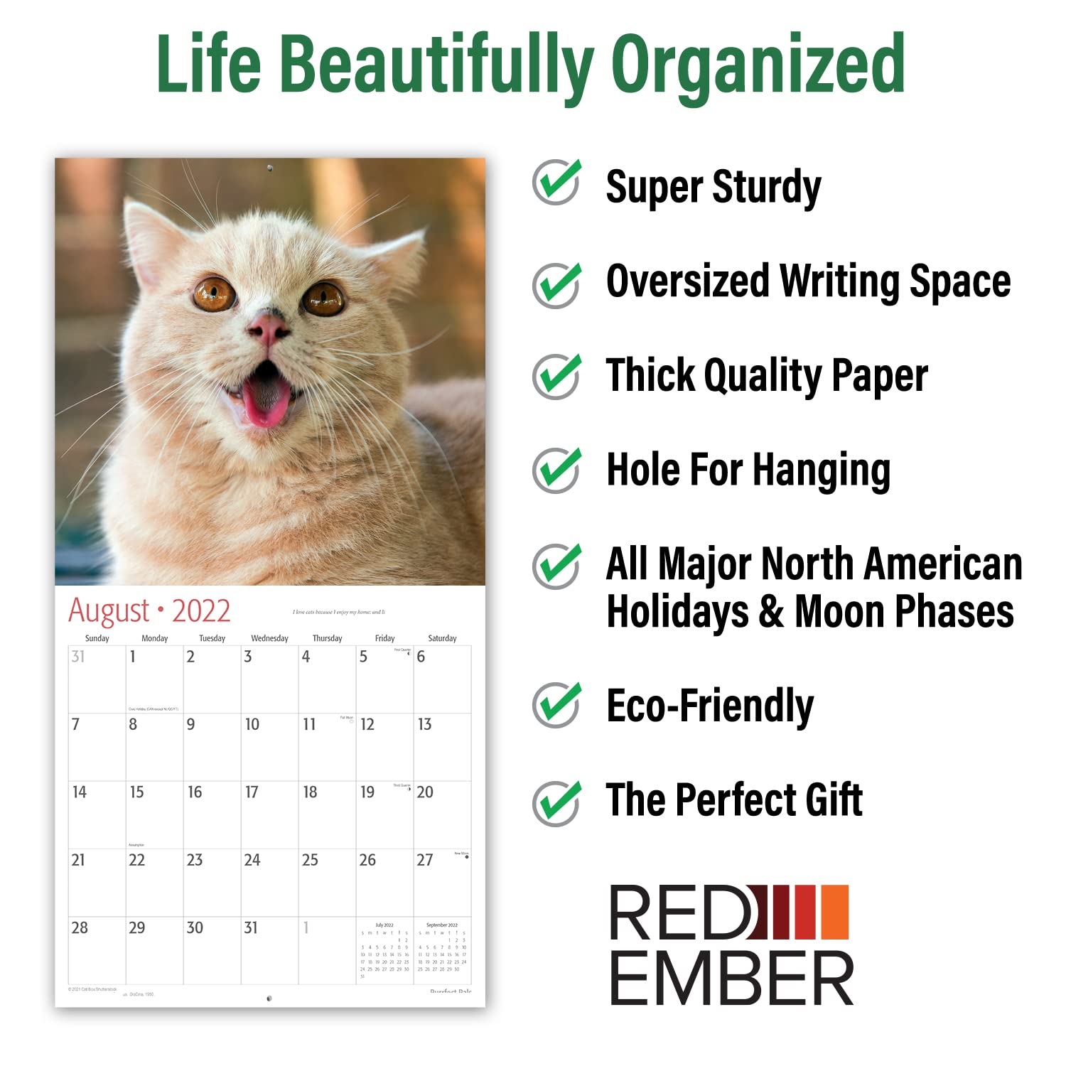 RED EMBER Purr-fect Pals Cats - 2022 Hangable Wall Calendars by Red ...