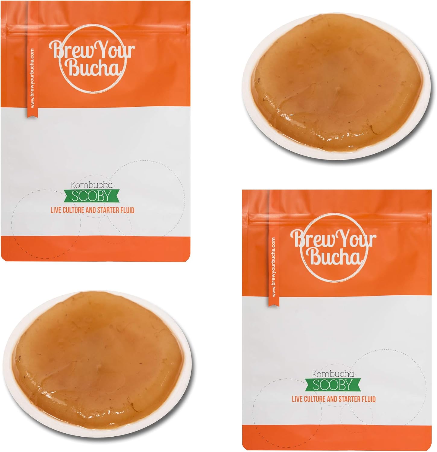 Amazon.com: Brew Your Bucha Kombucha Scoby with Starter Fluid ...