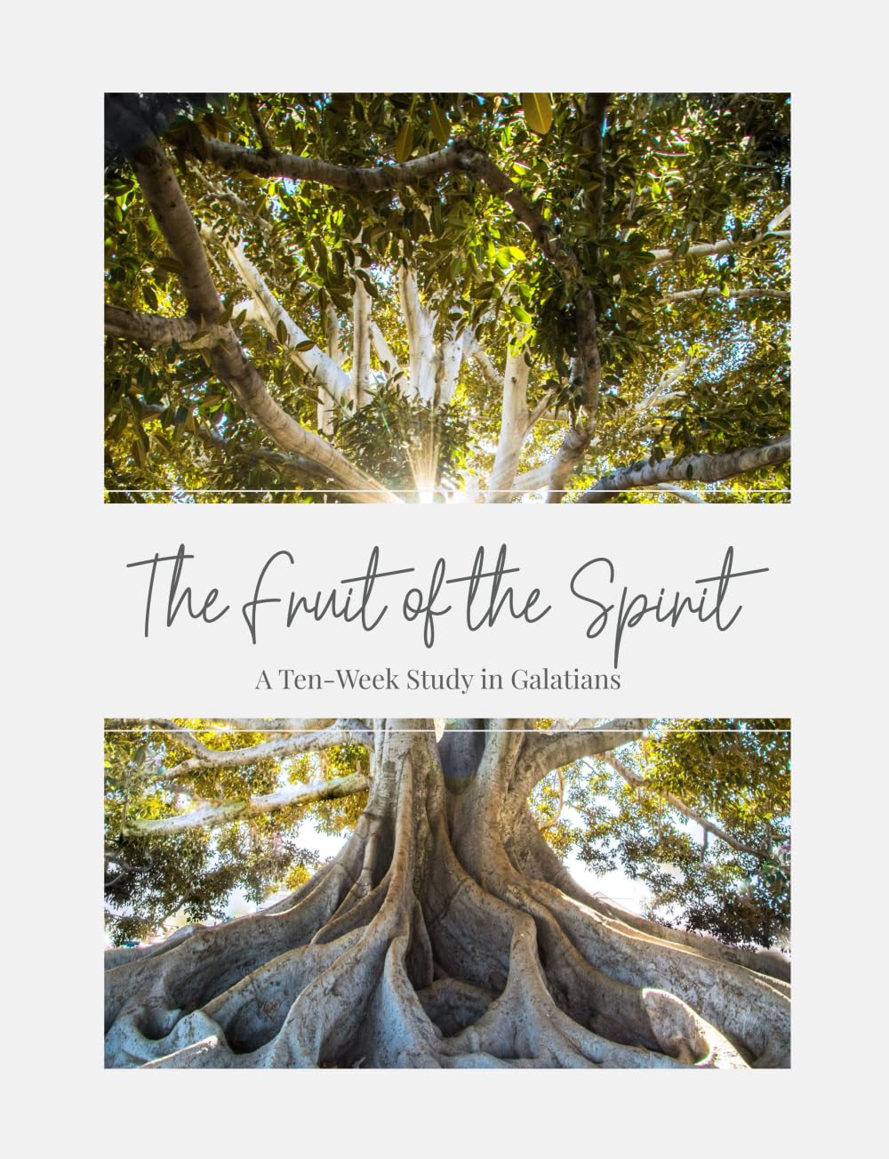 The Fruit of the Spirit: A Ten-Week Study in Galatians: Berkey, Charity ...