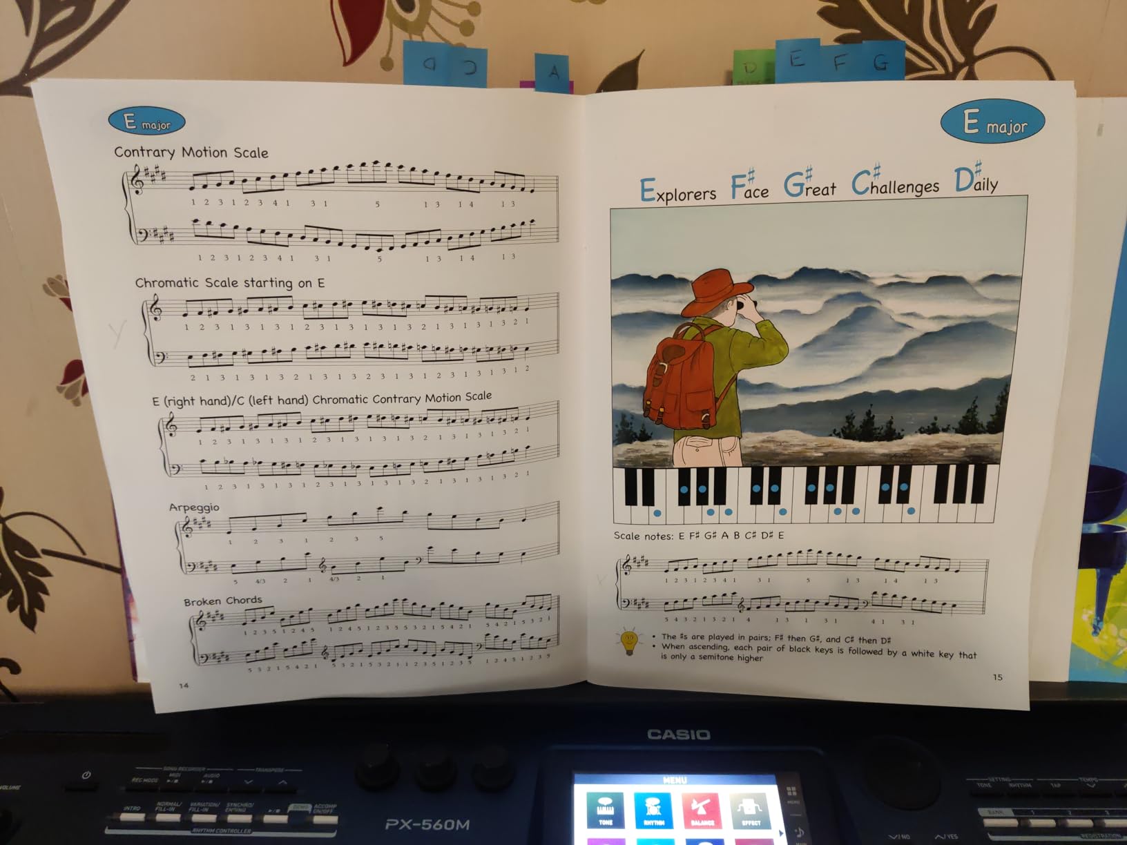 Piano Scale Mnemonics: A fun combination of words and illustrations to ...