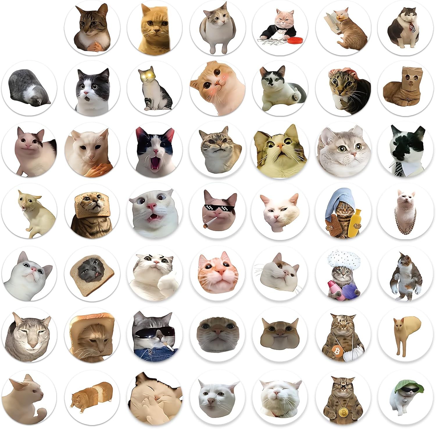 Amazon.com: GDG 3000 Pcs Cute and Fun Cat Stickers | Gifts for Children ...