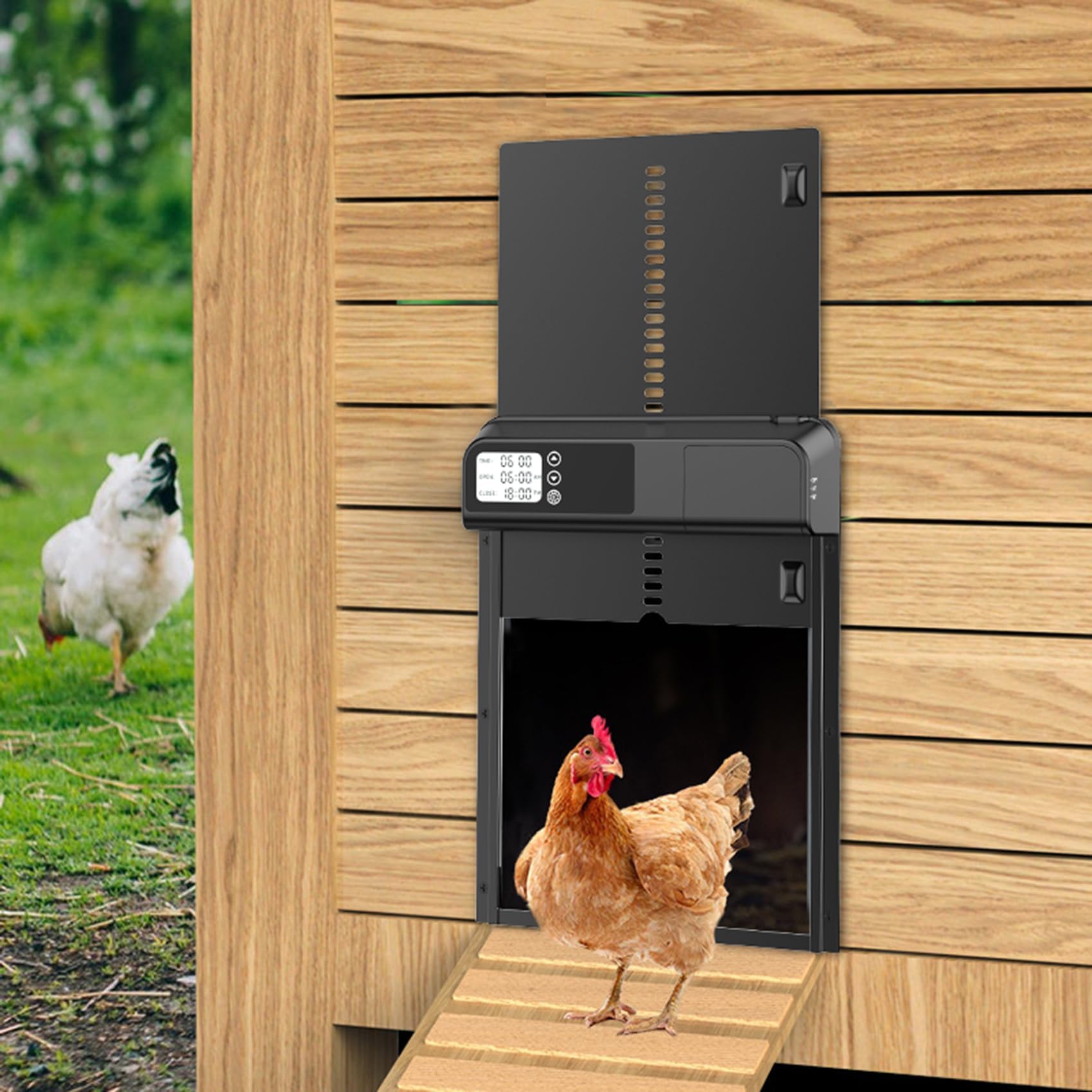 AUTENS Automatic Chicken Coop Door With Timer Control LCD Display ...