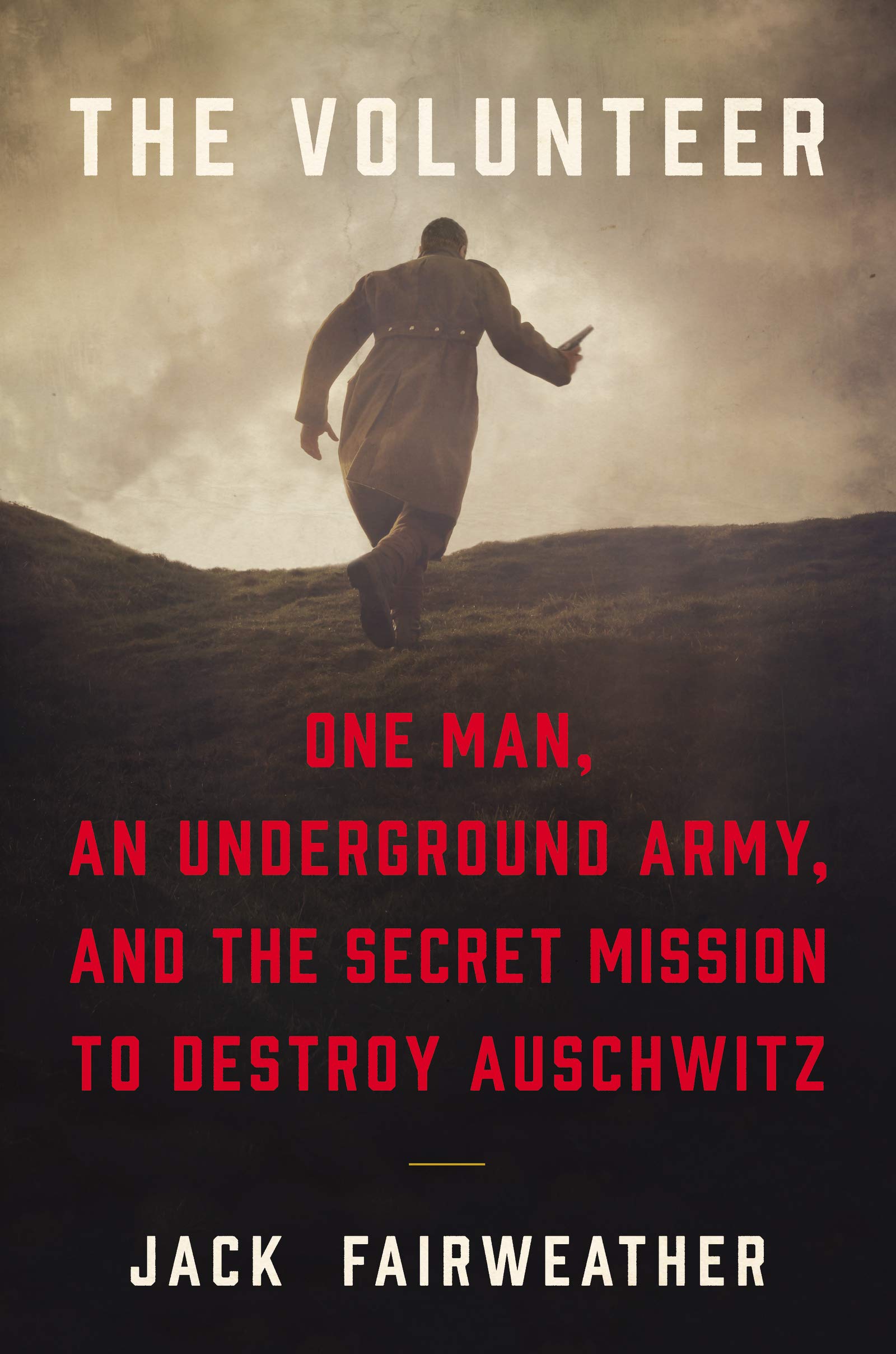 The Volunteer: One Man, an Underground Army, and the Secret Mission to ...