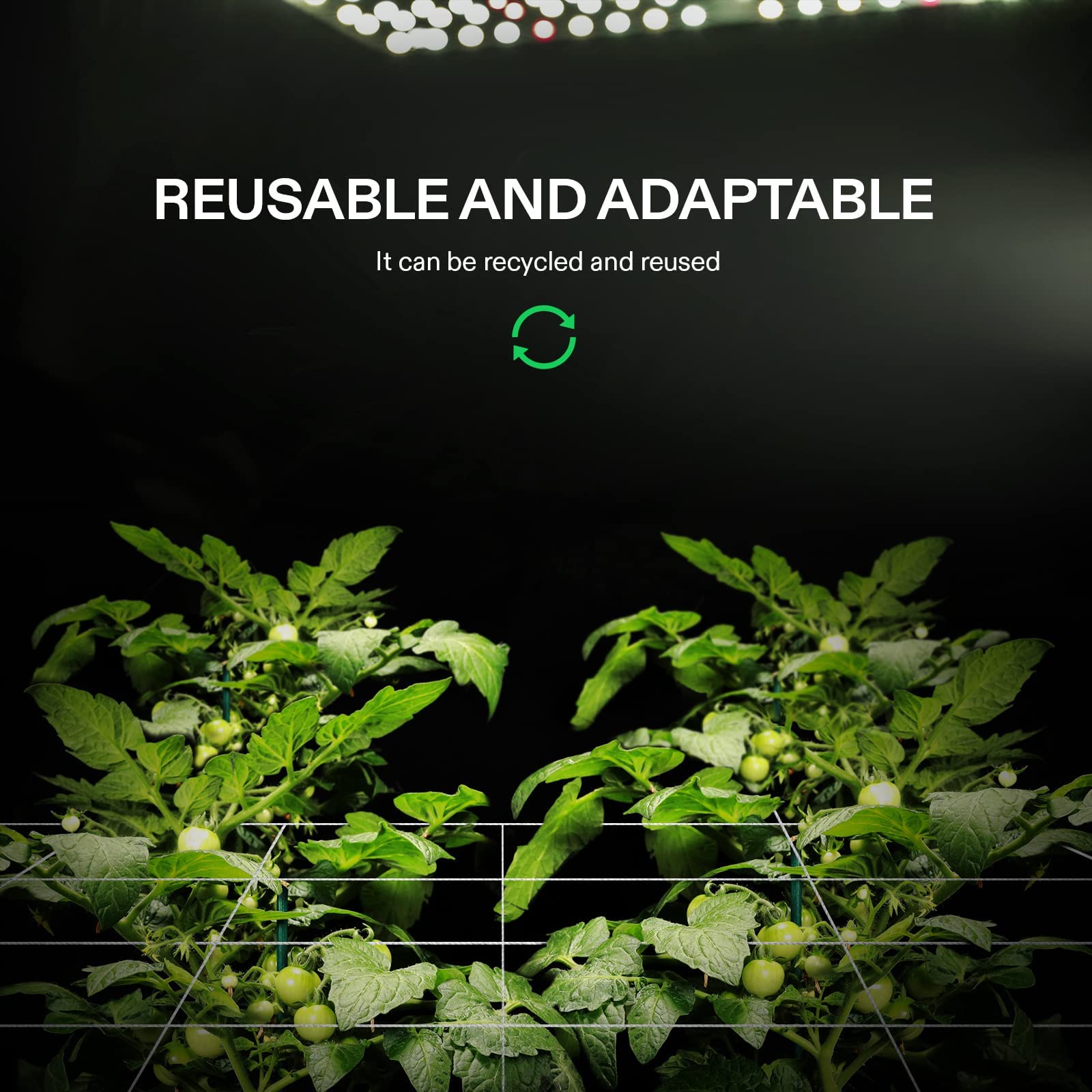 Snapklik.com : VIVOSUN 5 X 30 Ft Plant Trellis Netting, Heavy-Duty Polyester Grow Net, Garden ...