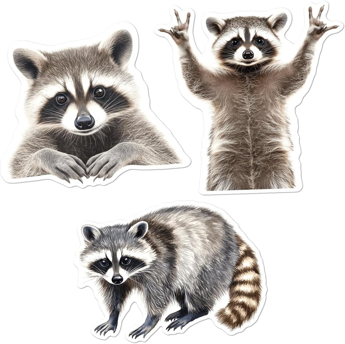 Amazon.com: Pack 3 Pcs Raccoon Rocking Sticker for Cars Vehicles Trucks ...