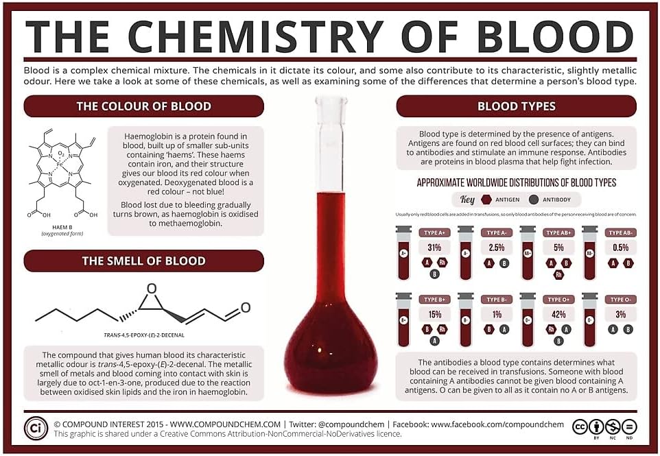Amazon.com: ManhBlue The Chemistry Of Blood Educational Charts ...