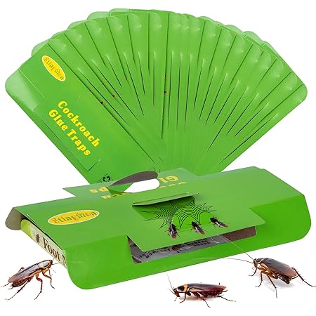 Amazon.com : 24 Pack Roach Traps Indoor Roach Killer Indoor Infestation ...