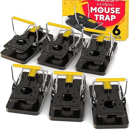 Amazon.com: Victor M123 Quick-Kill Easy Set Mouse Trap - 3 Reusable ...