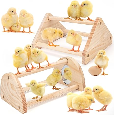 Amazon.com : Chicken Perch Stand, 2PCS Pine Chicken Roosting Bars for ...
