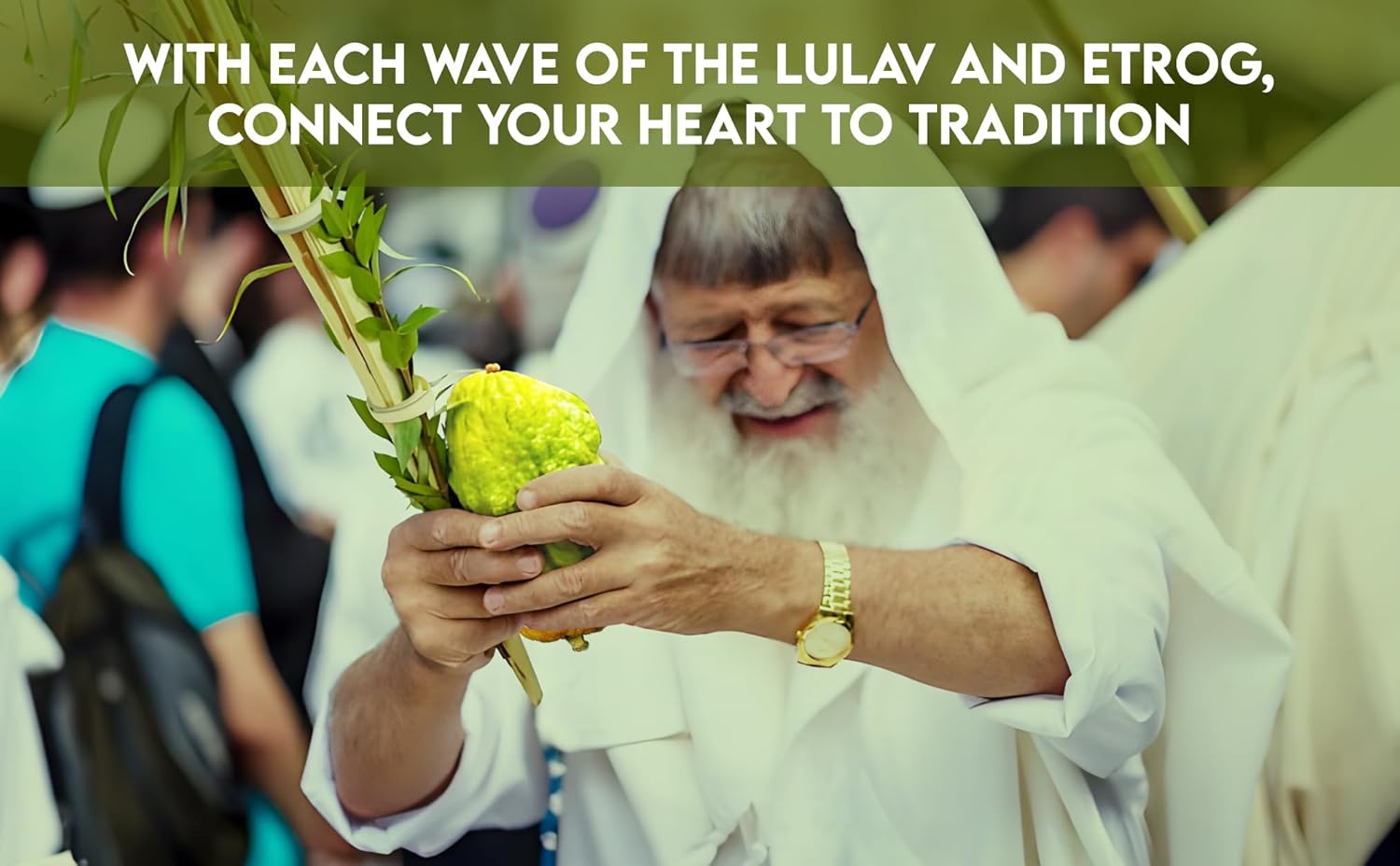 Lulav y Etrog Set Kosher Rabbinic CERTIFICADO – Juego de Etrog y Lulav ...