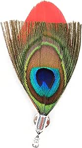 Amazon.com: Men's Red Peacock Feather Lapel Pin with Clutch Back ...